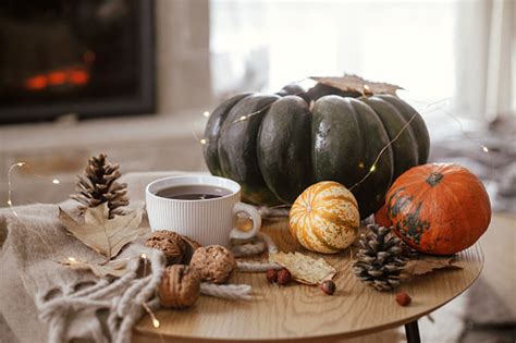 따뜻한 차 한잔 호박 단풍 콘 아늑한 스카프 농가의 소박한 나무 테이블에 불을 붙입니다 시골 집에서 아늑한 가을 행복한 추수 감사절 가을 휘게 정물 배너 0명에 대한 스톡