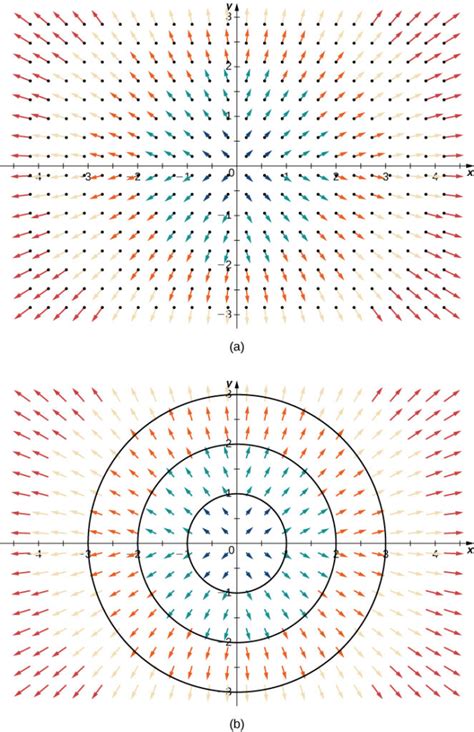 Vector Fields Calculus III