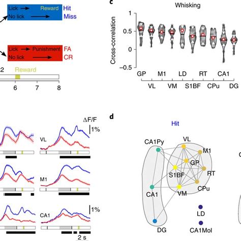 Large Scale Network Dynamics Across Multiple Brain Regions During Download Scientific Diagram