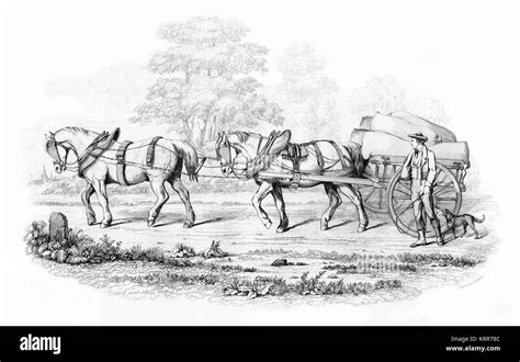 17th Century Farming Cut Out Stock Images And Pictures Alamy