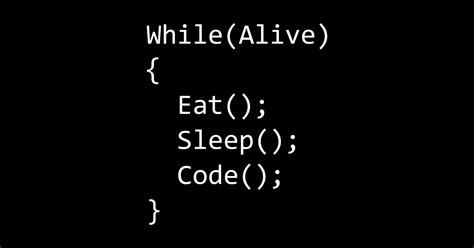 While Alive Eat Sleep Code While Alive Eat Sleep Code Sticker
