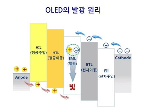 갤럭시s25 M13 Oled 탑재…듀폰·udc·덕산 소재 공급