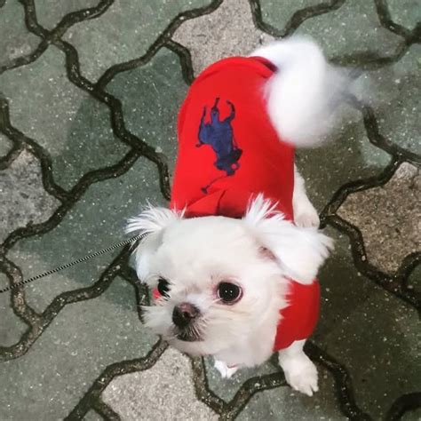 H 밍키 Ming 1 • Threads Say More