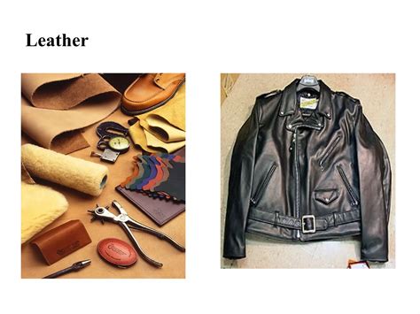 Biodeterioration Ppt