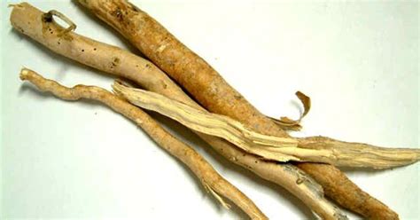 Эврикома | UroWeb.ru — Урологический информационный портал!