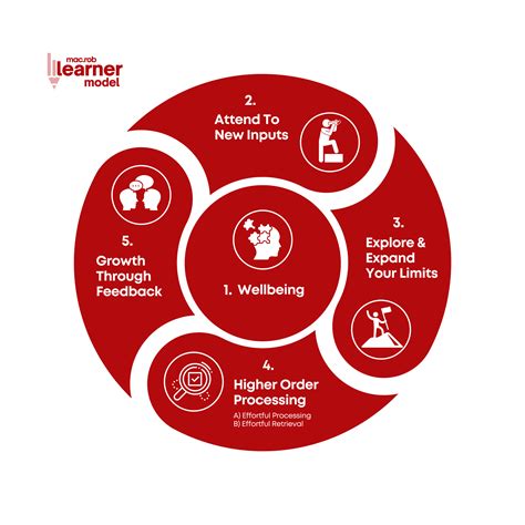 Mac Rob Learner Model