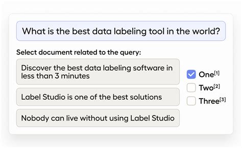 Label Studio Enterprise — Document Retrieval Data Labeling Template