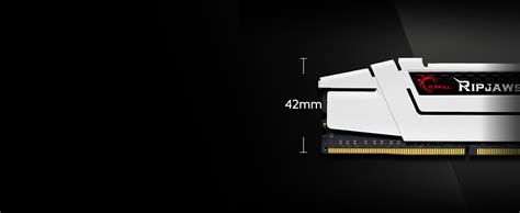 G SKILL RipjawsV Series DDR RAM GB X GB MT S CL V Intel AMD Desktop