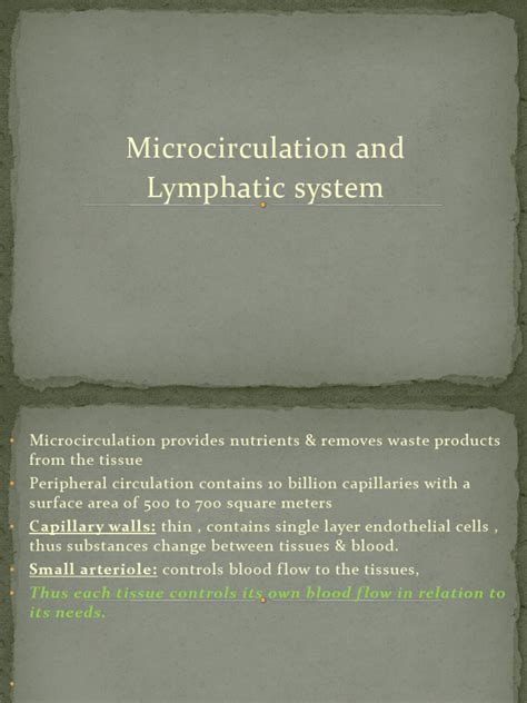 Microcirculation And Lymphatic System Pdf Lymph Capillary