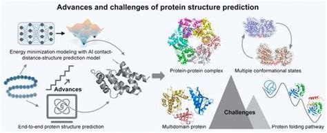 蛋白质结构预测的最新进展和挑战 Journal Of Chemical Information And Modeling X Mol