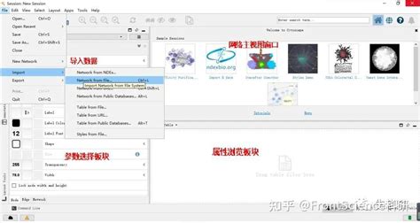 手把手教你Cytoscape基因互作网络图的保姆级讲解 知乎