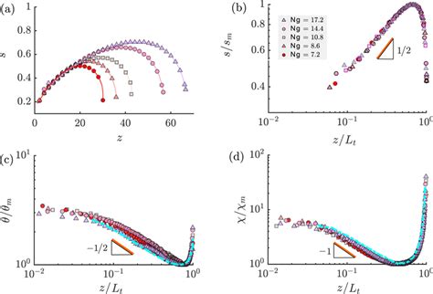 A Mixing Width Along The Interface For Ng Download Scientific Diagram