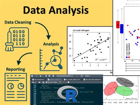 Analyze And Visualize Your Data Data Analysis Reports