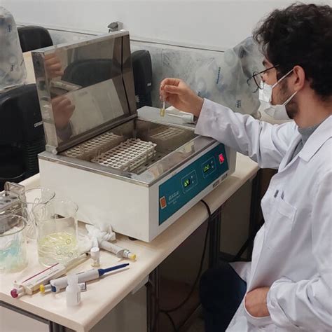 Mohammad Mehdi Fazeli Laboratory Manager Bachelor Of Medicine