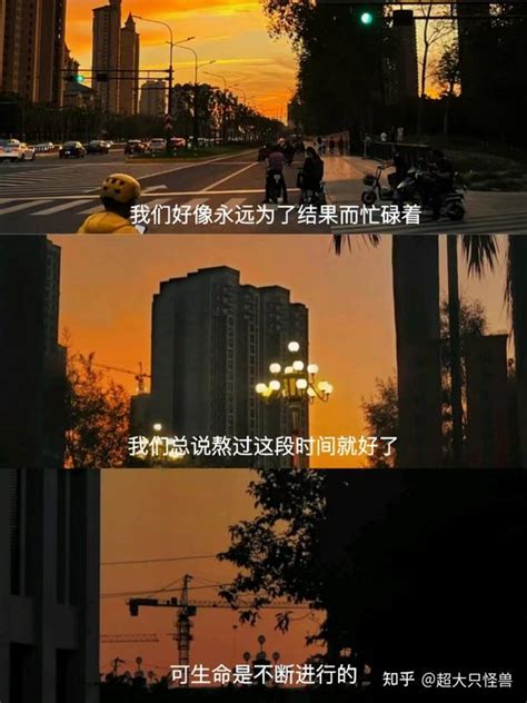 勇敢的人先享受世界 知乎