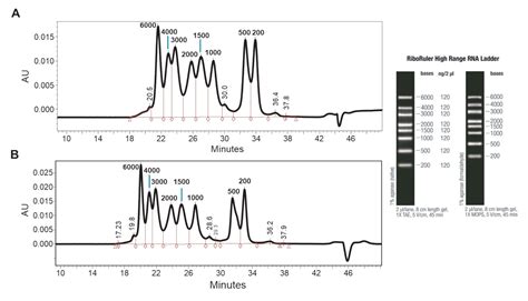 Suitability Of Gtxresolve Premier Beh Sec 450 Å 2 5 µm Column For Size Based Separations Of
