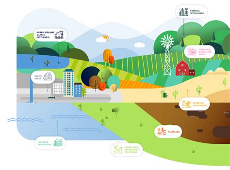 Iucn Restoration Barometer Report 2022 Iucn