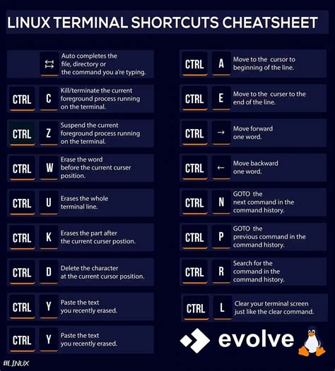 Abdelkarim Elaissaouy On Linkedin Terminal Shortcuts Terminal