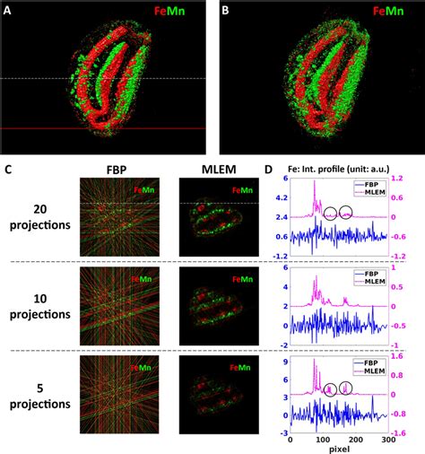 Reconstructed Sparse 3d Fe And Mn Tomograms And A Virtual Slice Showing Download Scientific