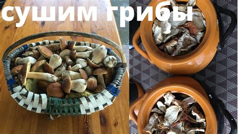СУШКА ГРИБОВ! СПОСОБЫ СУШКИ ГРИБОВ! - YouTube