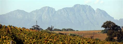 Van Biljon Woodwinters