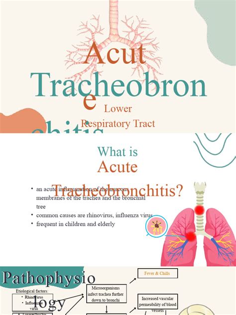 Acute Tracheobronchitis Pdf Pneumonia Bronchitis