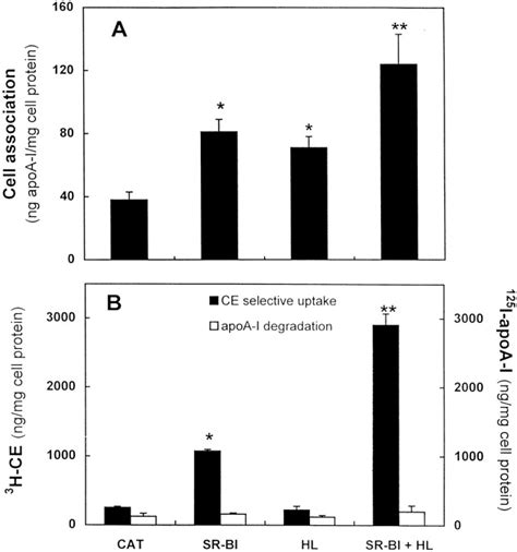 Hepatic Lipase Promotes The Selective Uptake Of High Density Lipoprotein Cholesteryl Esters Via