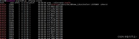 Linux Oracle 19c 安装oracle19c安装包 Csdn博客
