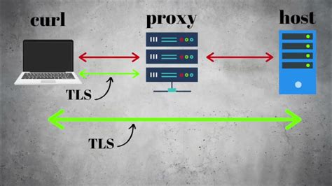 Curl Tls 13 Session Ticket Proxy Host Mixup Vulnerability Youtube