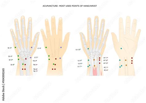 Acupuncture Points Hand