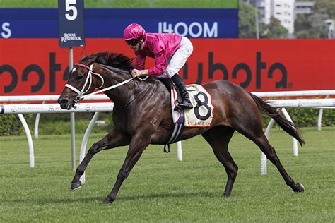 Fangirl To Draw On Class For Randwick Clash Rsn Racing And Sports