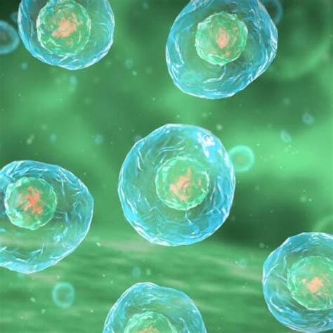 Challenges And Strategies Of Spatial Transcriptomics