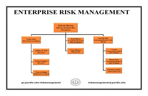 Risk Management Organization Chart Ponasa