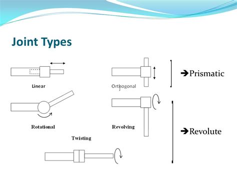 Anatomy Similar To Human Torso Shoulder Arm And Wrist In Construct Movement And Reach