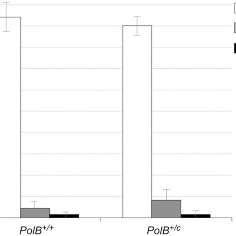 The Effect Of Heterozygosity For The Polb C Mutation On The Number Of Download Scientific