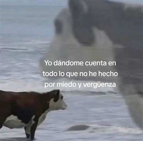 Top Memes De Miedo En Español Memedroid
