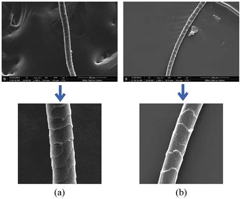 Identification Of Cashmere And Wool Based On Lbp And Glcm Texture Feature Selection Yaolin Zhu