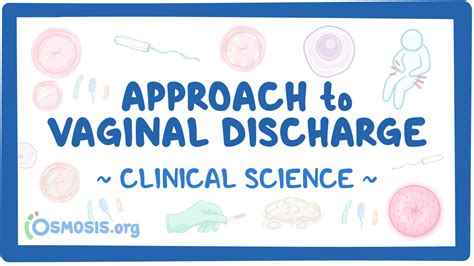 Approach To Vaginal Discharge Video Meaning Osmosis