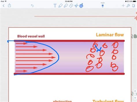 Cvp Unit 2 Flashcards Quizlet