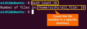 How To Loop Through Files In Bash Directory With Examples LinuxSimply