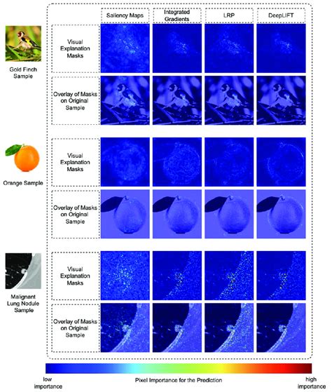 Demonstration Of Expected Results For The Implemented Xai Methods Using Download Scientific