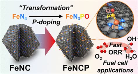 Transformation Of The Active Moiety In Phosphorus Doped Fe N C For Highly Efficient Oxygen