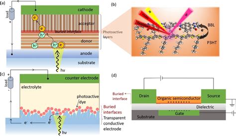 Charge Transfer Dynamics In Organicinorganic Hybrid Heterostructures