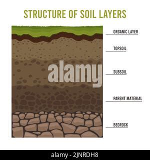 Soil Layers Diagram For Layer Of Soil Soil Scheme With Grass Dirt