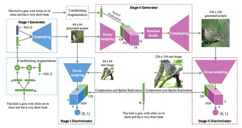 Zhang et al より引用