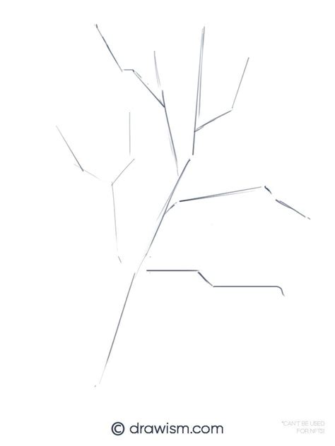 How To Start Drawing A Tree Branch Freehand Simple