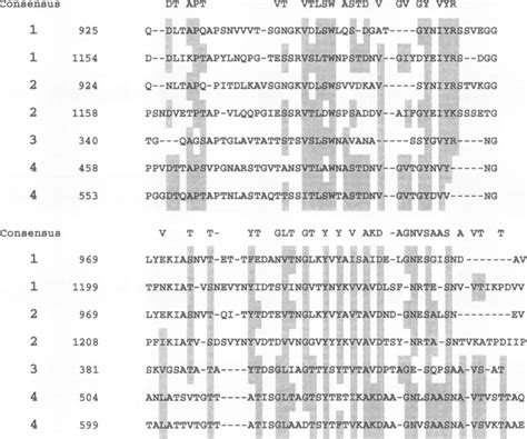 Alignment Of Fibronectin Type Iii Domains In Several Bacterial Download Scientific Diagram