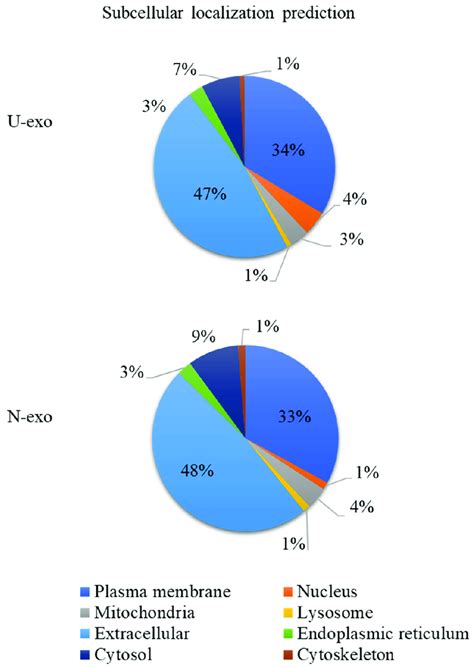 Pie Chart Of Subcellular Localization Of Identified Proteins The