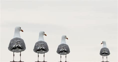 Azure Data Factory Integration With Github