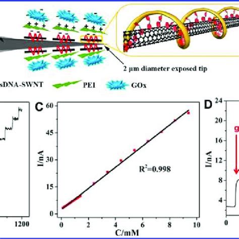 A Schematic Diagram Of Layer By Layer Electrostatic Self Assembly Of